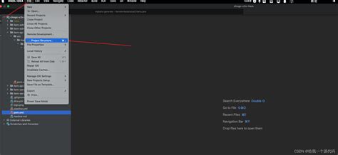 项目maven标志消失，pom文件显示为橙色橘色标志pom文件变成橘色 Csdn博客