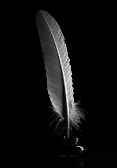 Key Theories Of Mikhail Bakhtin Literary Theory And Criticism