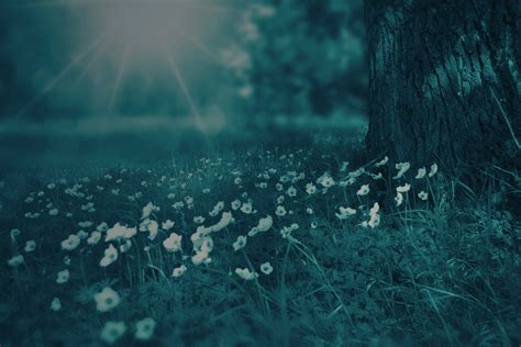 Compass Life Sciences Supports Mental Health Awareness Week