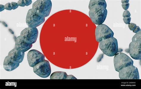 3d Rendering Of Japanese Flag And Group A Streptococcus Stss Is A Severe Life Threatening