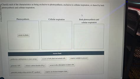 classify each of the characteristics as being exclusive to photosynthesis