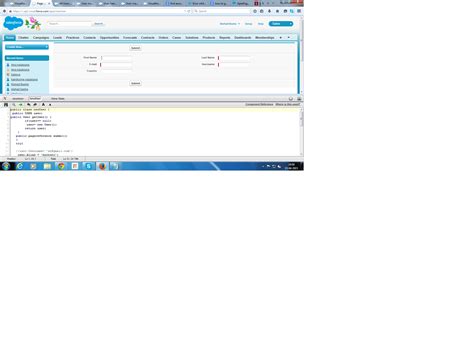 Visualforce How To Display When I Enter User Details Click Submit Button Error Message Shown