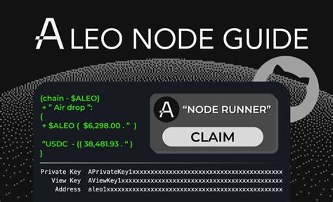 How To Install And Run An Aleo Testnet Node Detailed Guide By Easynodes Jul 2024 Medium