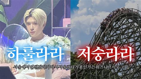 시즈니 브이로그 일본 남자 보러 동에 번쩍 서에 번쩍 했슨 덕질 브이로그 • 서가대 스탠딩 1열 시야 • 위시 에버랜드 팝업 • 엔시티위시 • Nct Wish