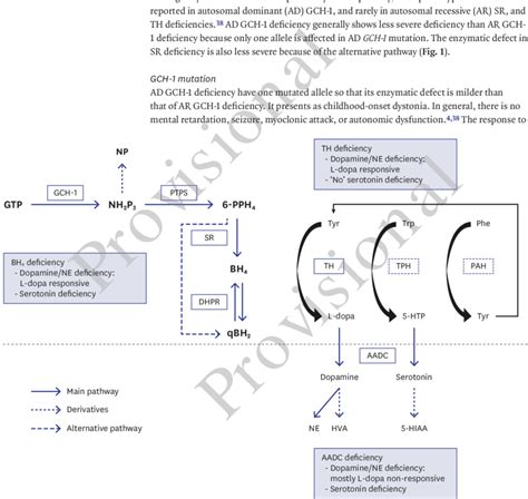Characteristics Of Enzymatic Deficiencies On Dopamine Synthetic Download Scientific Diagram
