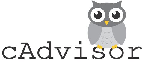 Cadvisor Monitoring Guide For Kubernetes Users Cast Ai