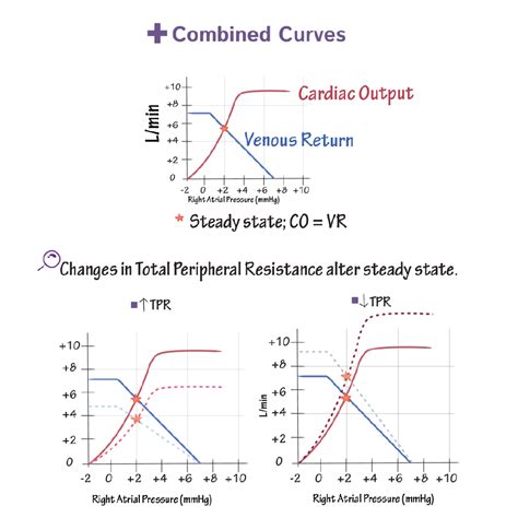 Cardiac Output Vascular Function Curves Physiology Flashcards Ditki Medical And Biological