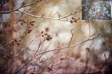 40 Textures Bundle No 35 Fine Art Photography Digital Etsy