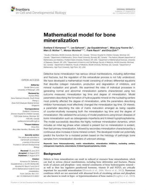 Pdf Mathematical Model For Bone Mineralization Dokumentips