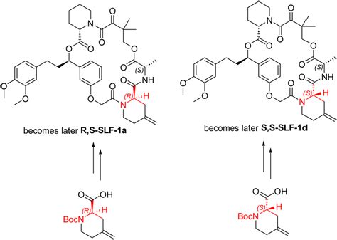 Identification And Characterization Of Ternary Complexes Consisting Of Fkbp12 Mapre1 And
