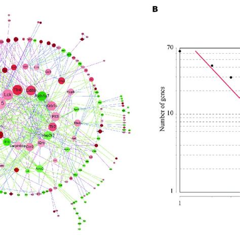 Connectivity Map CMap Analysis A The Enrichment Scores Of The Download Scientific