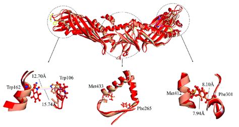 Comparison Of Cetp Structure After Binding Of Ligand Zinc000006242926 Comparison Of Cetp Structure After Binding Of Ligand Zinc000006242926