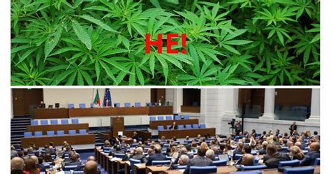 Не разрешиха преработка на коноп щяло да се сее марихуана
