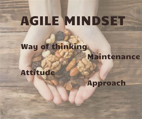 Agility In The Nutshell III Agile Mindset Coverdale Austria