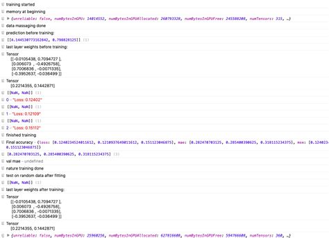 Model Fit Reports Non Nan Float Losses But Returns Nan When Inferencing Even Though Weights