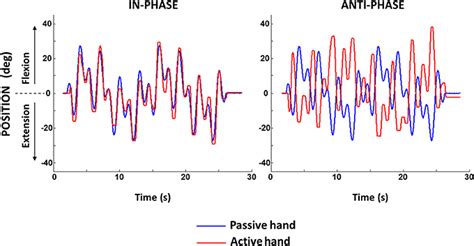 Sample Of Motor Generated Motion In The Passive Hand And Tracking