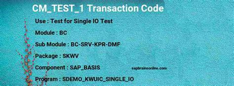CM TEST SAP Tcode For Test For Single IO Test