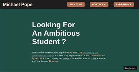 Assignment Developer Portfolio Codesandbox
