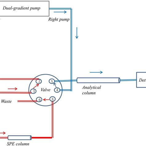 Graphical Depiction Of On Line Spe Hplc System Download Scientific