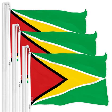 G128 3 Pack Guyana Guyanese Flag 3x5 Ft Liteweave Pro Series