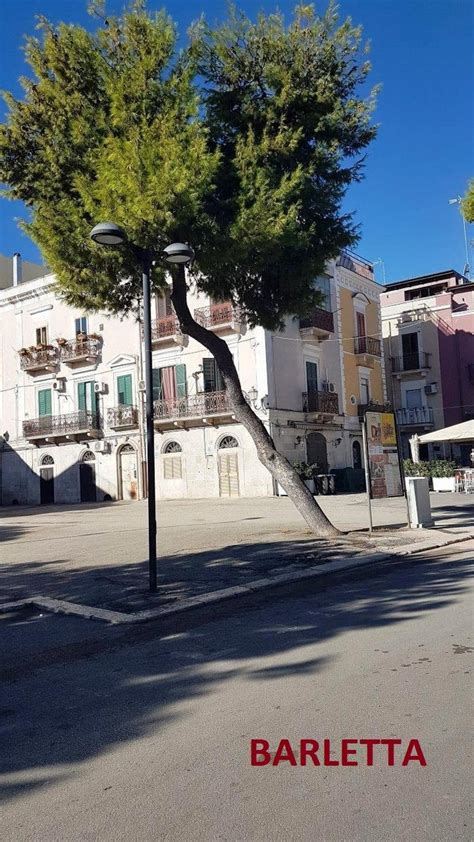 Spazi Verdi Urbani Una Lettera Al Sindaco