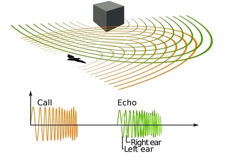 Ultrasound Piezoelectric Transducer