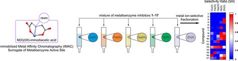 Affinity Chromatography Diagram