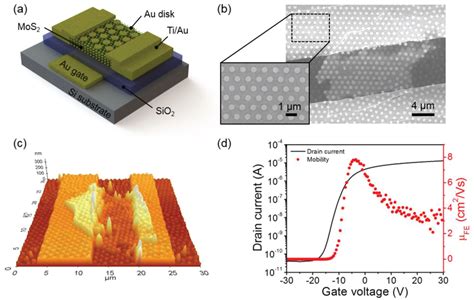 A Schematic Of The Mos2 Phototransistor With Au Disks B Sem Images