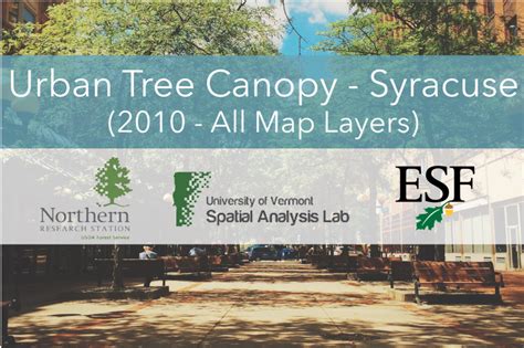 Urban Tree Canopy Syracuse 2010 All Layers