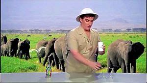 Watch Coke Fun Coke Cam Porn SpankBang