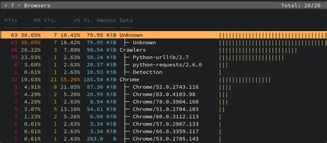 Ubuntu 2004te Goaccess Web Log Analyzer Nasıl Kurulur Ve Kullanılır