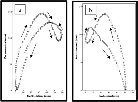 Example Of Displacement Trajectories Of The L4 Marker In The Frontal Download Scientific