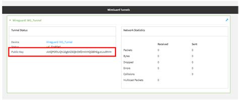 dal router as wireguard server windows client digi international