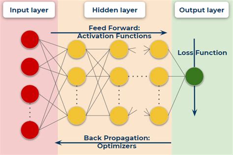 理解pytorch的loss backward 和optimizer step 知乎