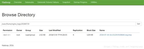 大数据可视化之nginx日志分析及web图表展示（hdfsflumesparknginxhighcharts）拿到日志文件后可以做