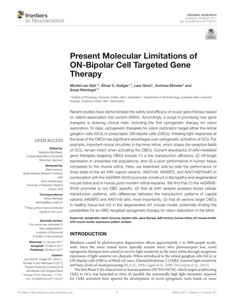 Pdf Present Molecular Limitations Of On Bipolar Cell Targeted Gene Therapy