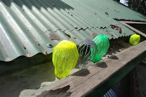 Industrial Gutter Filter At ₹ 1450piece औद्योगिक फिल्टर In Solan Id 2851734692633 Industrial Gutter Filter At ₹ 1450piece औद्योगिक फिल्टर In Solan Id 2851734692633