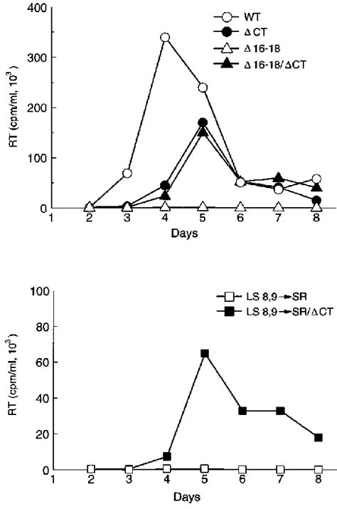 Env Cytoplasmic Tail Truncation Compensates For The Replication Defect