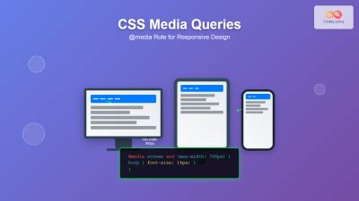 CSS Media Queries: Complete Guide to @media Rule for Responsive Web Design - CodeLucky