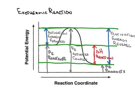 Potential Energy Function Diagram Potential Energy Diagrams