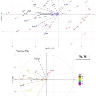 A And B Showing The PCA Biplot For Genotype Clustering And PCA Variable Download Scientific