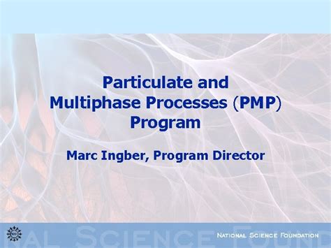 Particulate And Multiphase Processes Pmp Program Marc Ingber