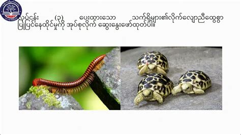 Grade 6 သိပ္ပံ၊ အခန်း ၄ ၊ သက်ရှိအမျိုးမျိုး အပိုင်း ၅ ၊ စာမျက်နှာ ၄၄