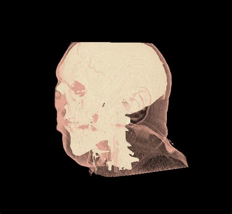 github davindermaverick volumeraycasting volume data rendering using