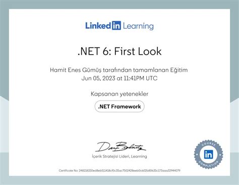 Hamit Enes Gümüş On Linkedin Certificate Of Completion