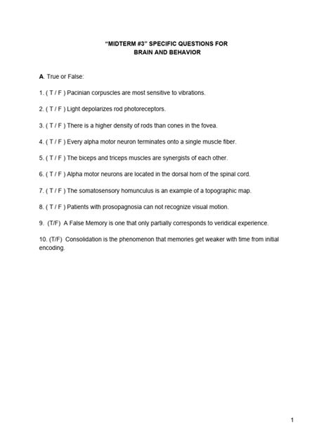 Brain And Behavior Midterm 3 Specific Quetions New Pdf Motor Neuron Brain