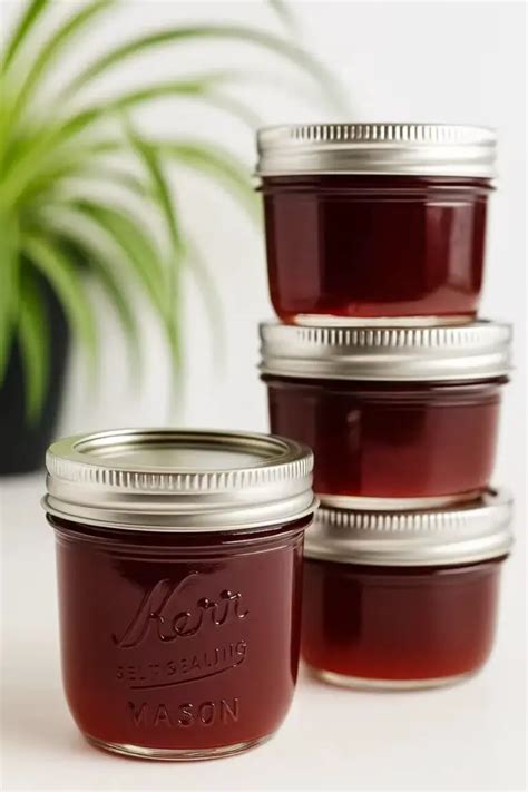 Easy Homemade Plum Jelly Recipeshots