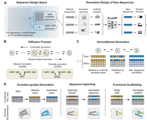 Utilizing Evolutionary Diffusion For Protein Generation Microsofts