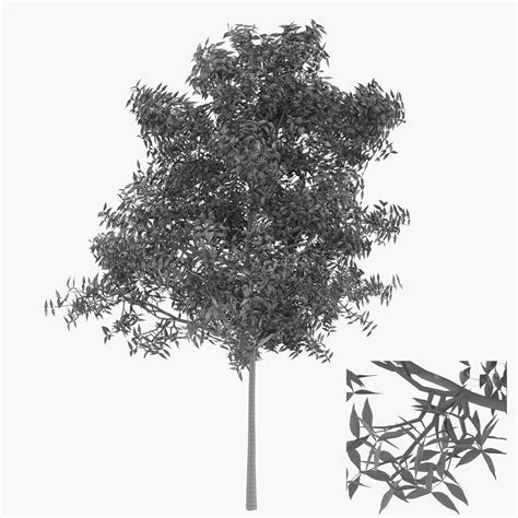 Tree Cluster 001 3d Model Cgtrader