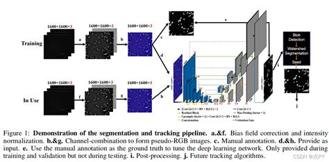 基于边缘修复的图像分割论文简读 active boundary loss for semantic segmentation csdn博客